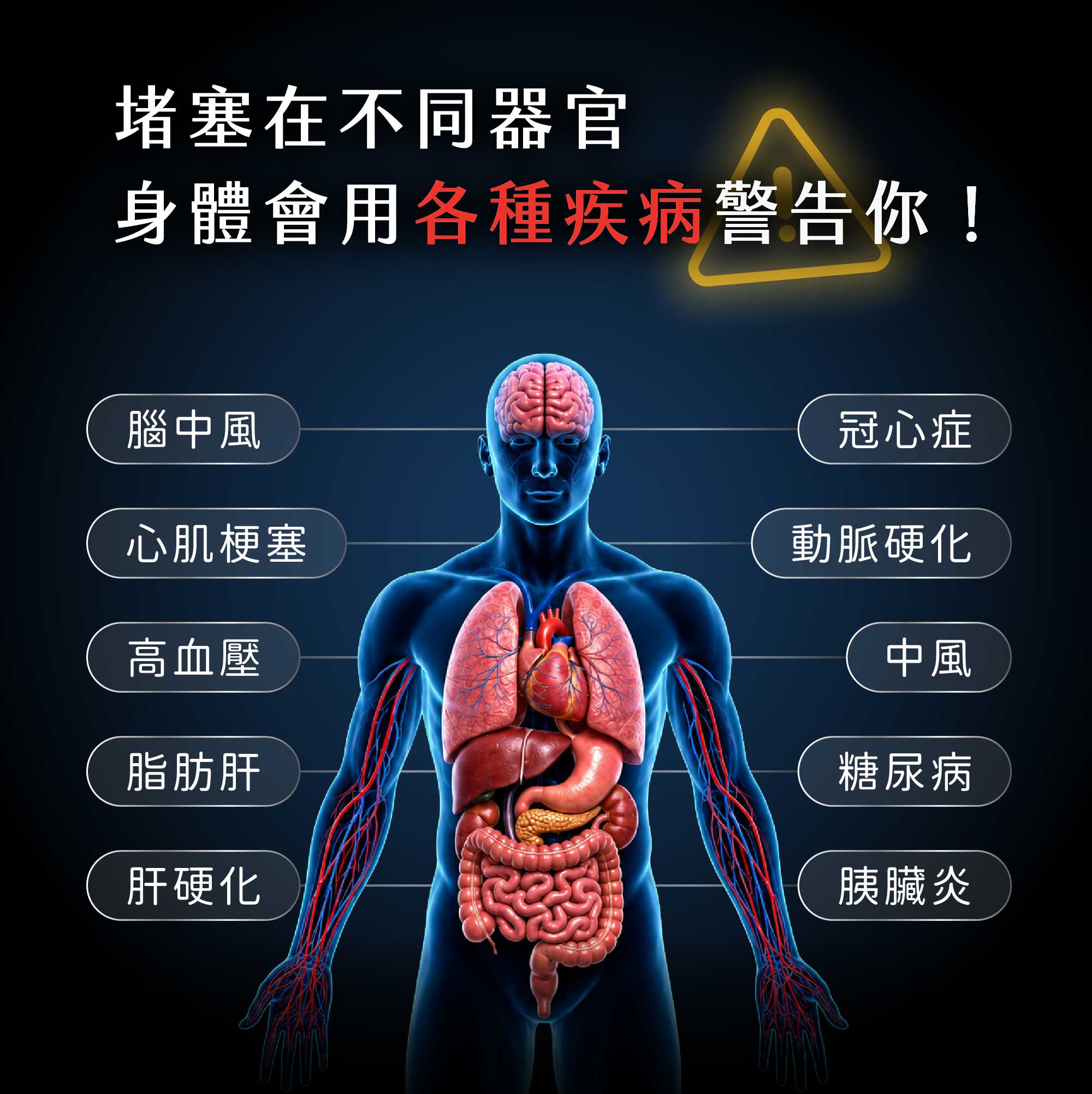 血管硬化程度宛如石頭！！血液淨化助「打通血路」